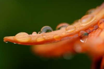 Nikon Df Sample Images - Daily Camera News