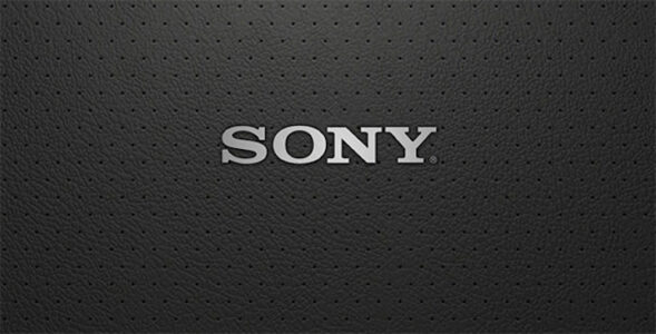 Sony Full Frame Curved Sensor Tech Rumors - Daily Camera News