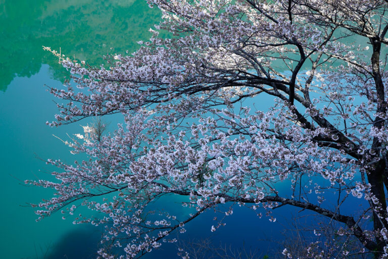 Sony A7s Sample Images and Movies - Daily Camera News