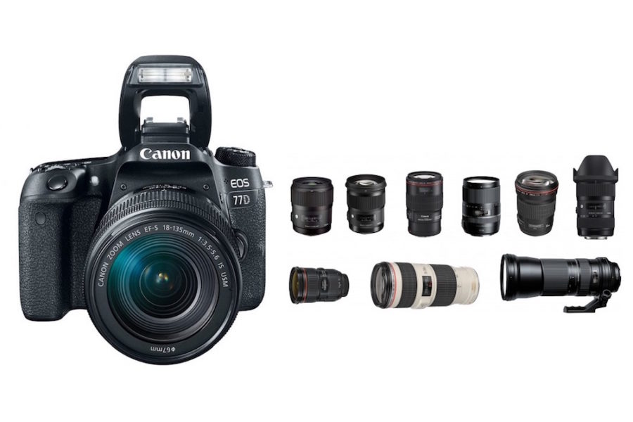 Best Lenses for Canon 77D - Daily Camera News