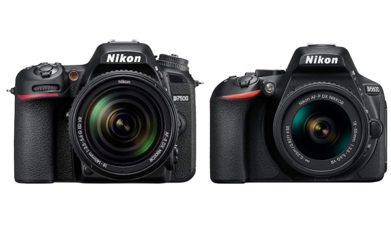 Nikon D7500 vs D5600 - Comparison - Daily Camera News