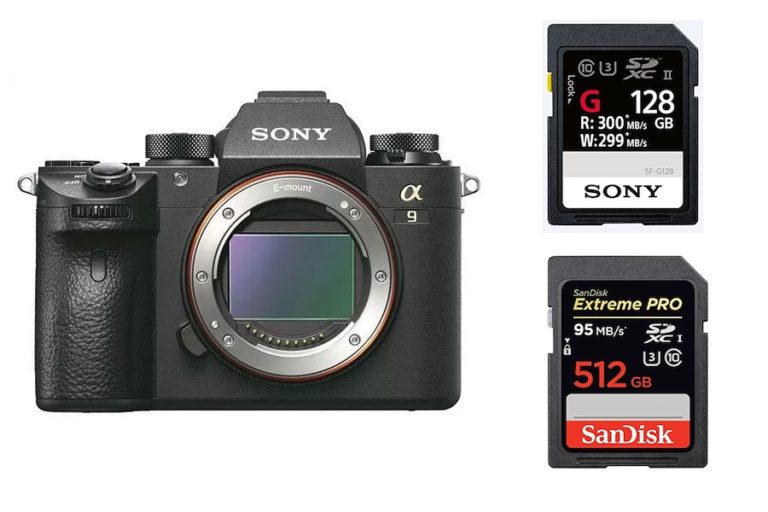 Best Memory Cards for Sony A9 - Daily Camera News