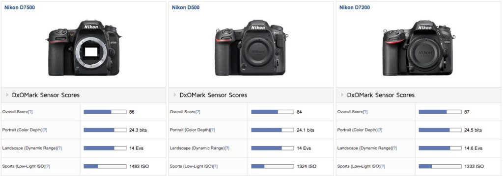 Nikon D7500 sensor test results - Daily Camera News