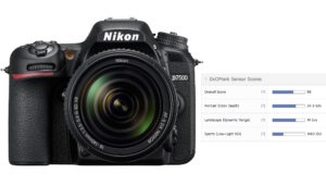 Nikon D7500 sensor test results - Daily Camera News