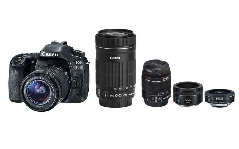 8 Best Lenses for Canon EOS 80D in 2021 - Daily Camera News