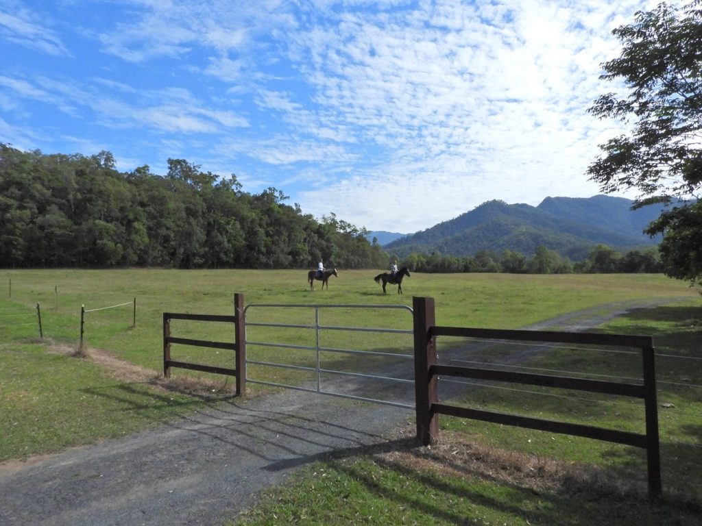 Nikon COOLPIX P1000 Sample Images - Daily Camera News