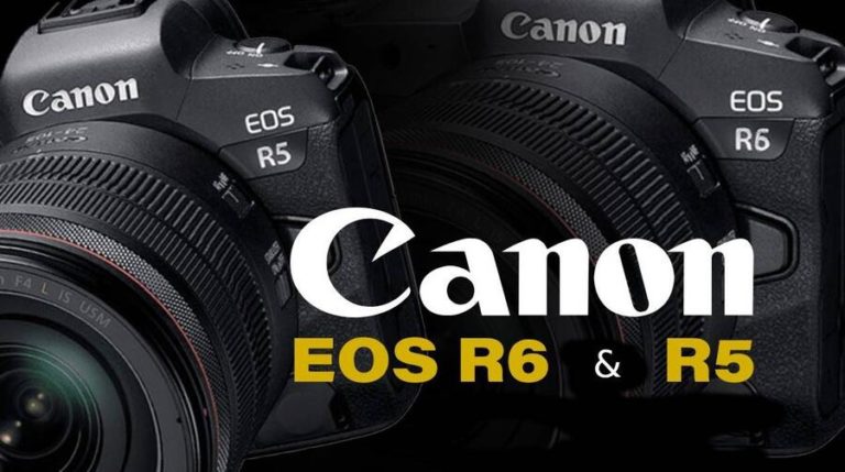 Best Accessories for Canon EOS R5 and EOS R6 - Daily Camera News