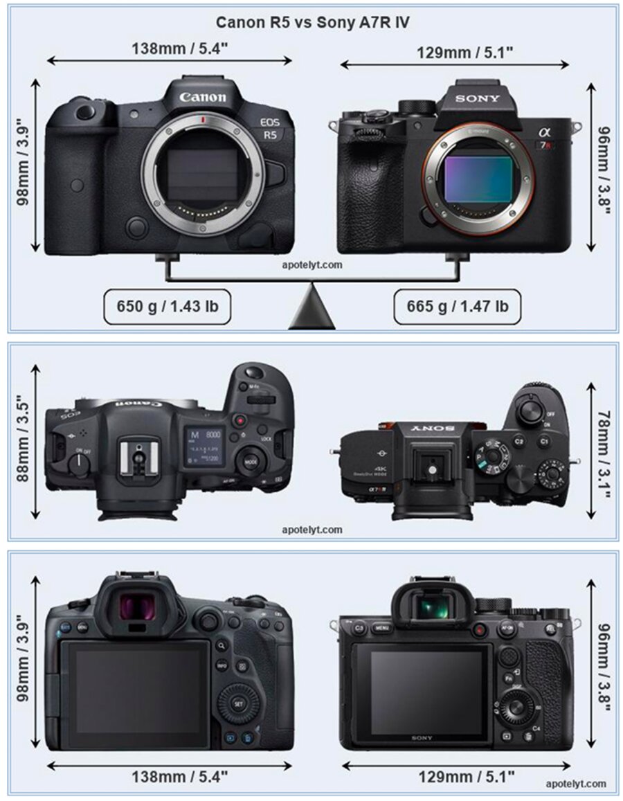 Canon EOS R5 Vs Sony A7r IV Specs And Size Comparison Daily Camera News Canon EOS R5 Vs Sony A7r IV Specs And Size Comparison Daily Camera News
