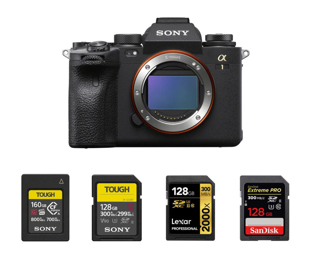 Recommended Memory Cards for Sony a1 - Daily Camera News