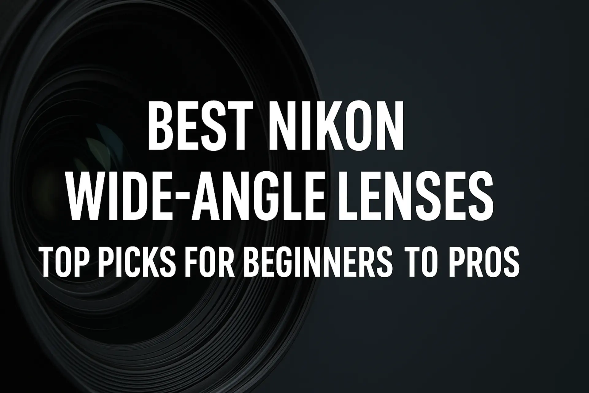 Best Nikon Wide-Angle Lenses: Top Picks for Beginners to Pros - Daily ...